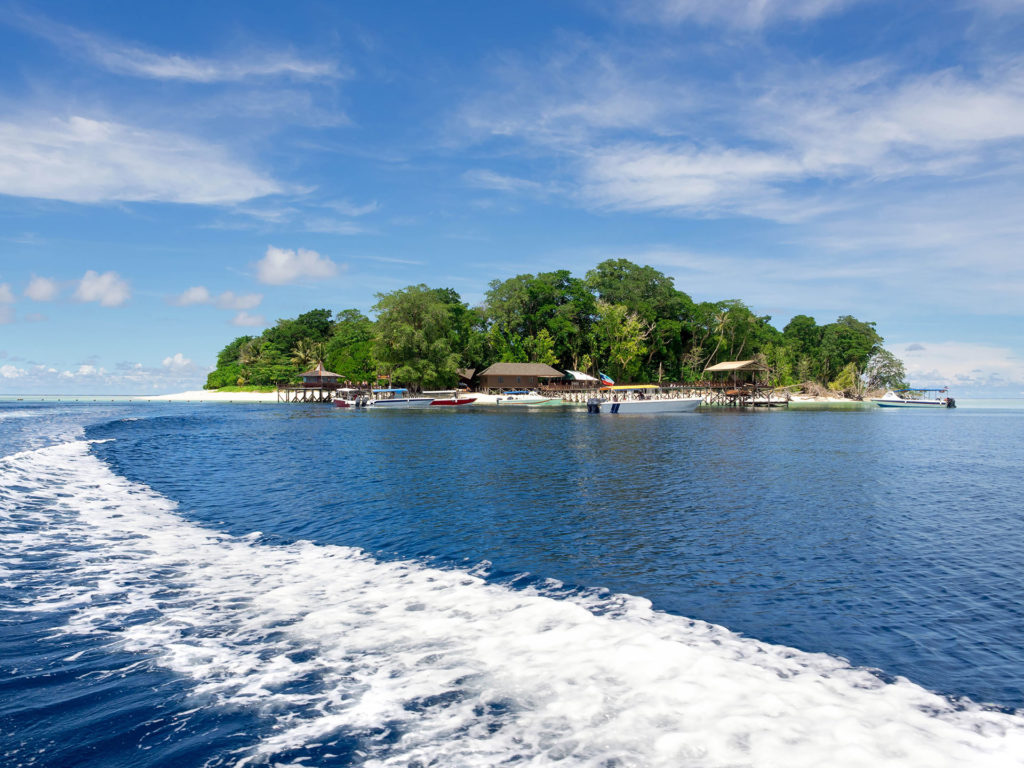 Complete Guide to Sipadan Diving - Designer Journeys Travel Blog