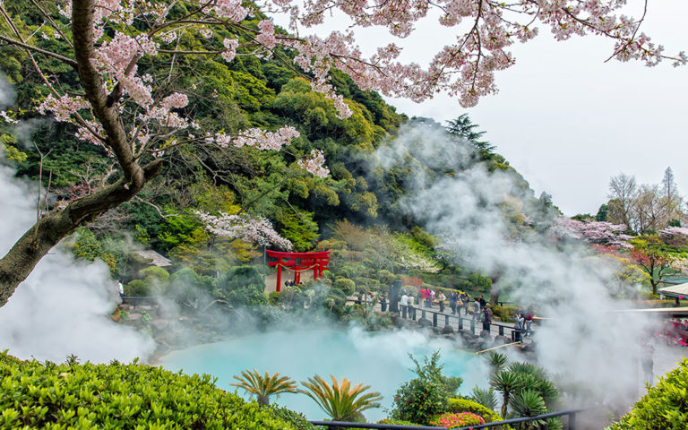 Experience the Magic of Japan During Spring: A Travel Guide | Travel ...