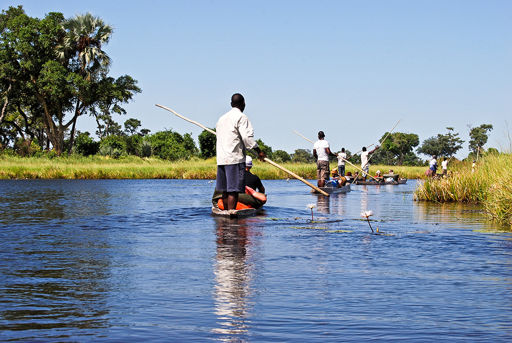 The Complete Guide to Okavango Delta | Travel Journal by Designer Journeys