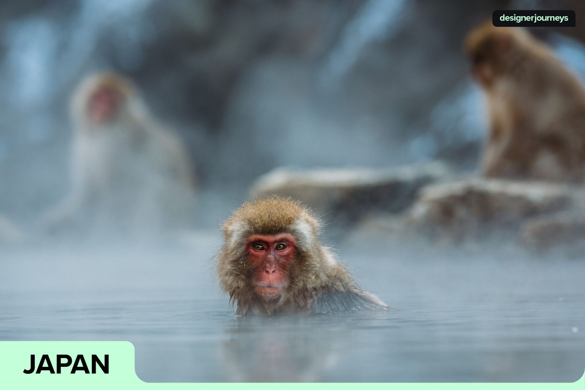 Japan in February: A Blend of Culture, Snow, and Festivals | Travel ...