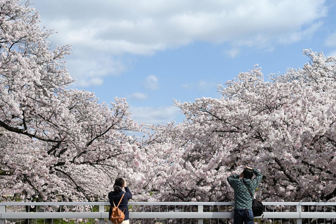 Japan in March: A Magical Time of Transformation | Travel Journal by ...