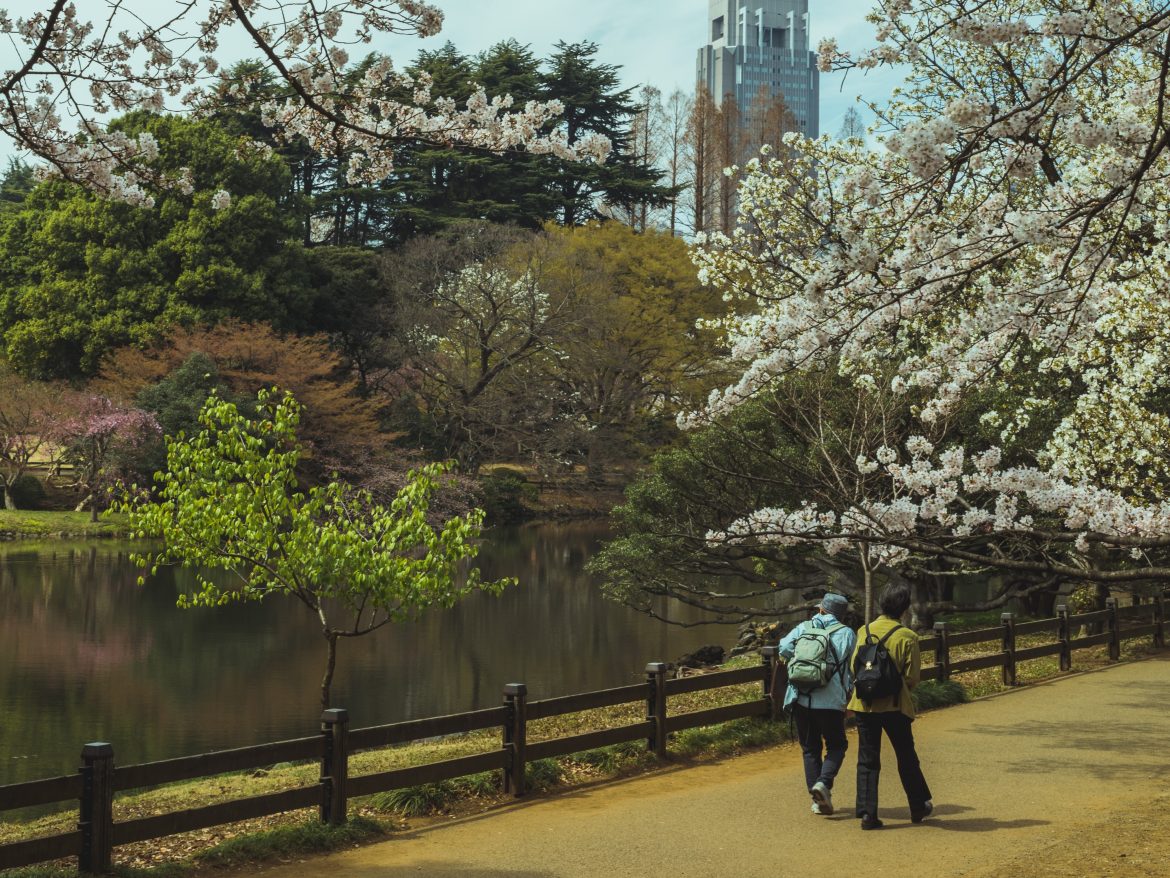 Japan in April | Travel Journal by Designer Journeys