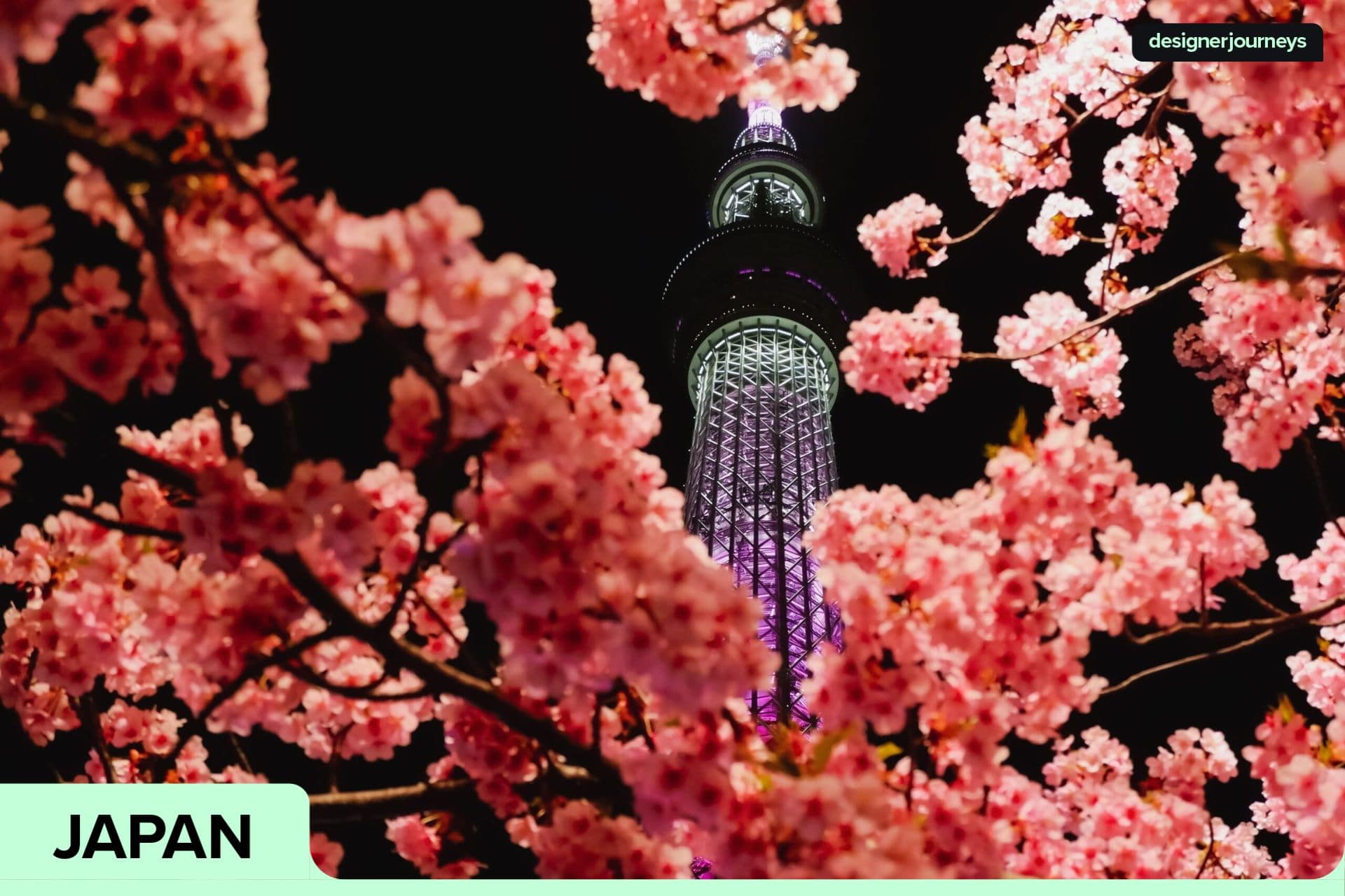 Japan in April: A Symphony of Cherry Blossoms and Ancient Traditions ...