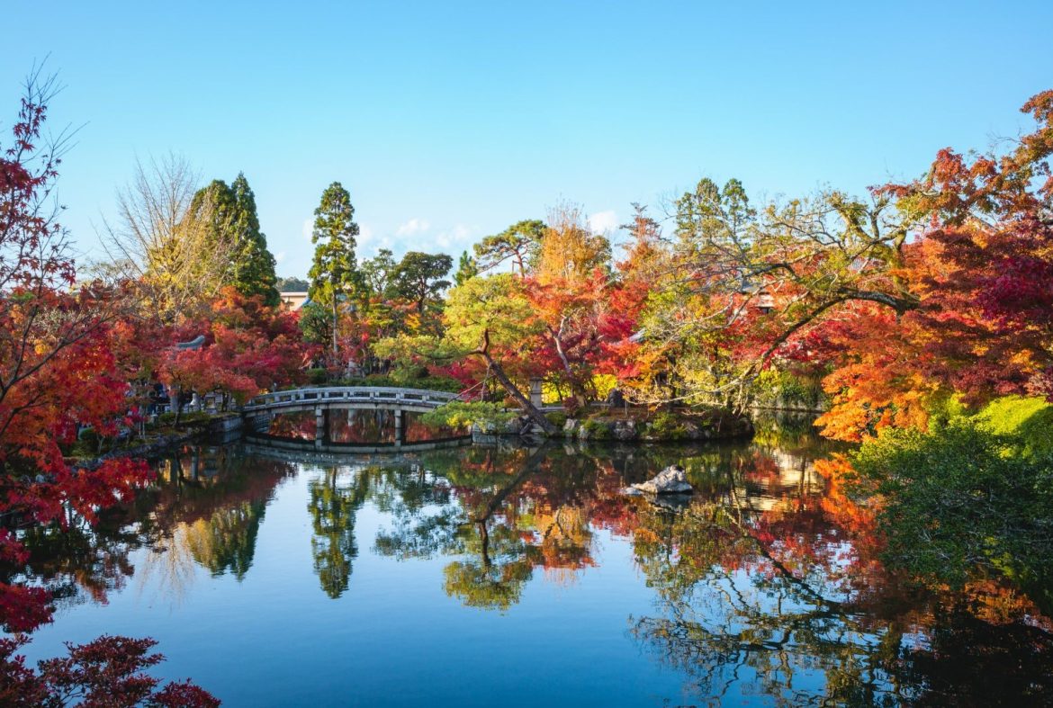 Best places to visit in Japan in November | Travel Journal by Designer ...