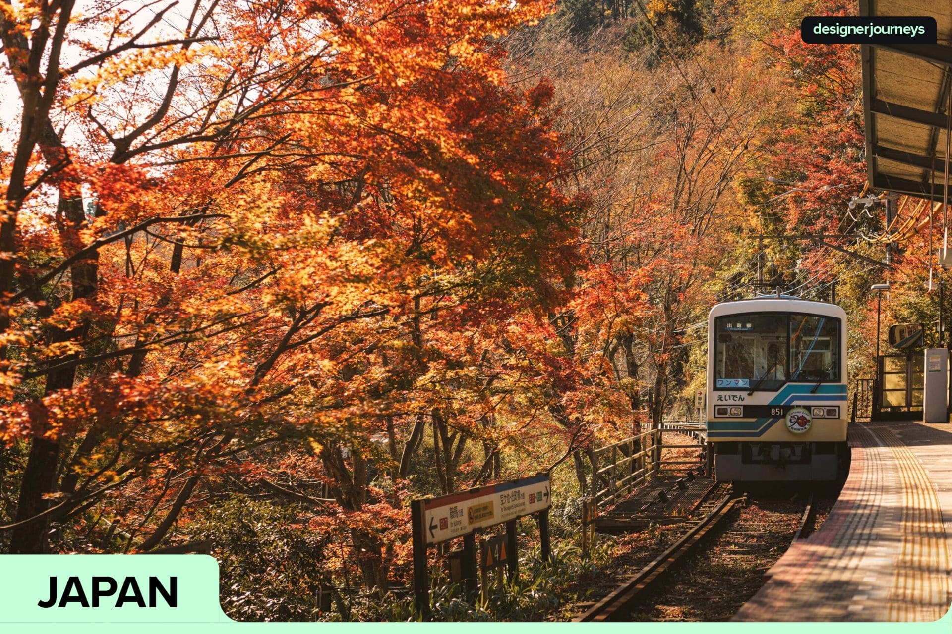 Japan in November: A Traveller's Guide to Autumn Splendour | Travel ...