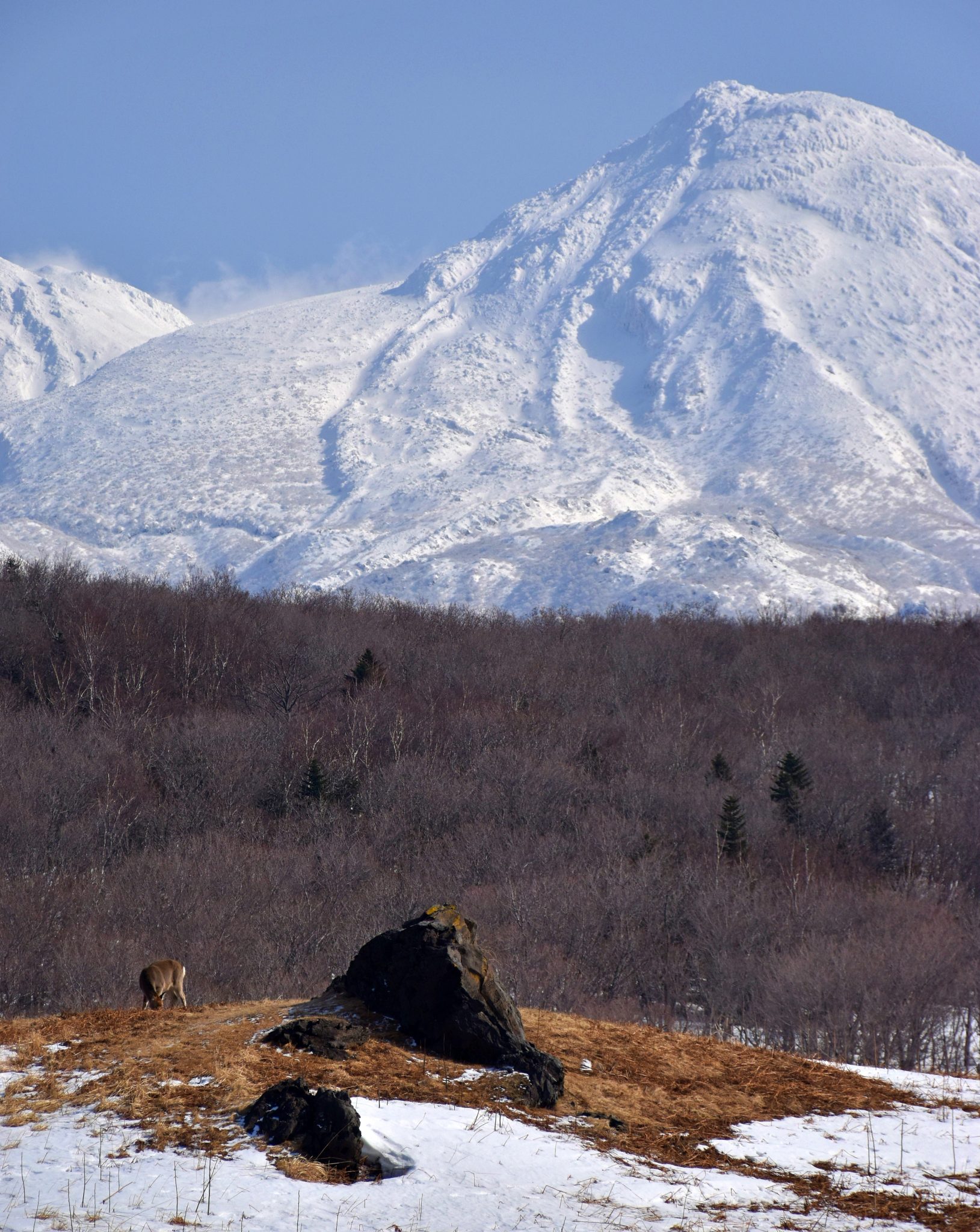 Japan Countryside Wonders: Unveiling the Charms of Rural Beauty ...