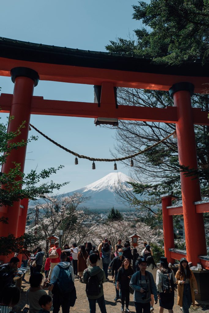 Cherry Blossom Magic: The Best Season to Travel to Japan | Travel ...