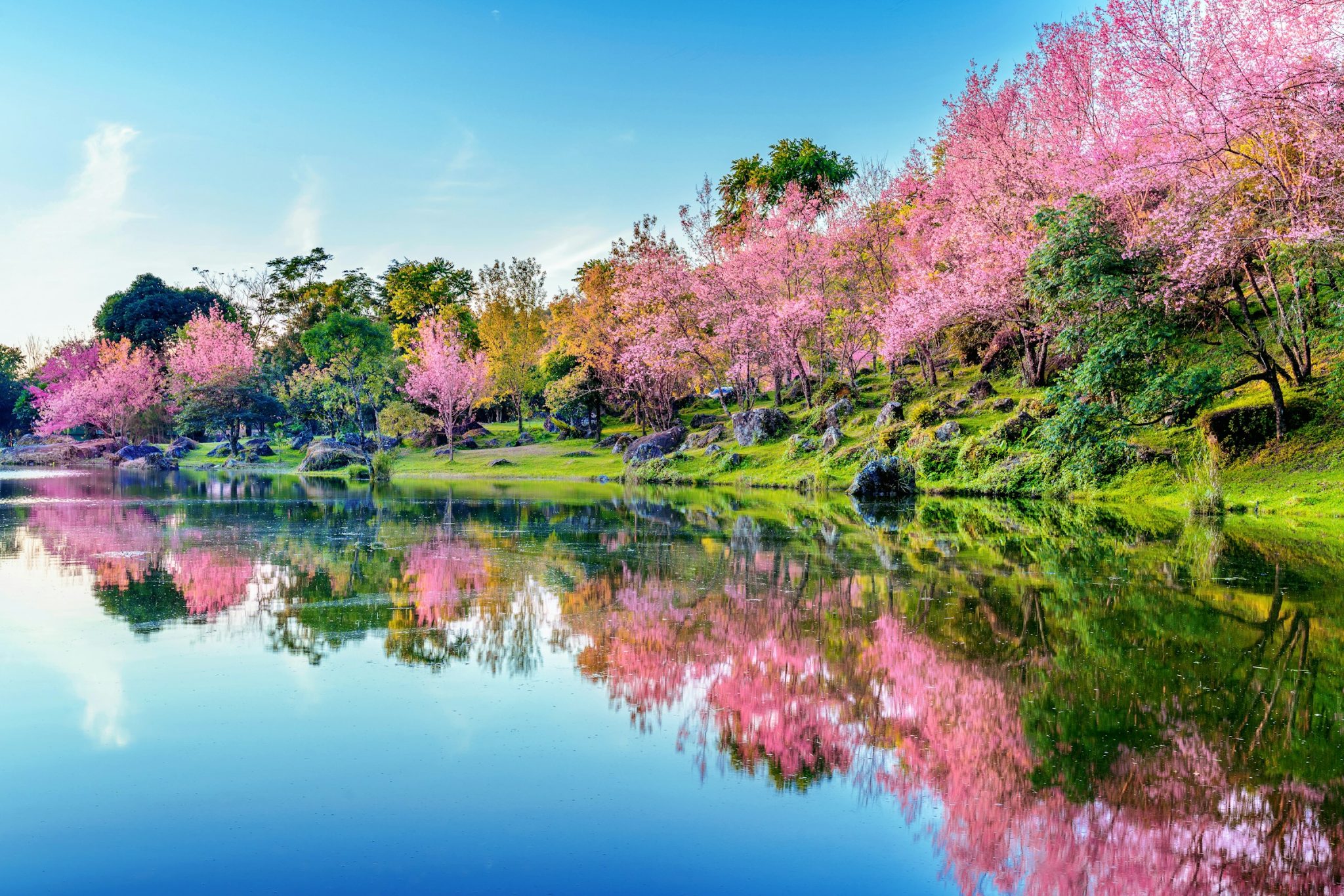 Experience the Magic of Japan During Spring: A Travel Guide | Travel ...