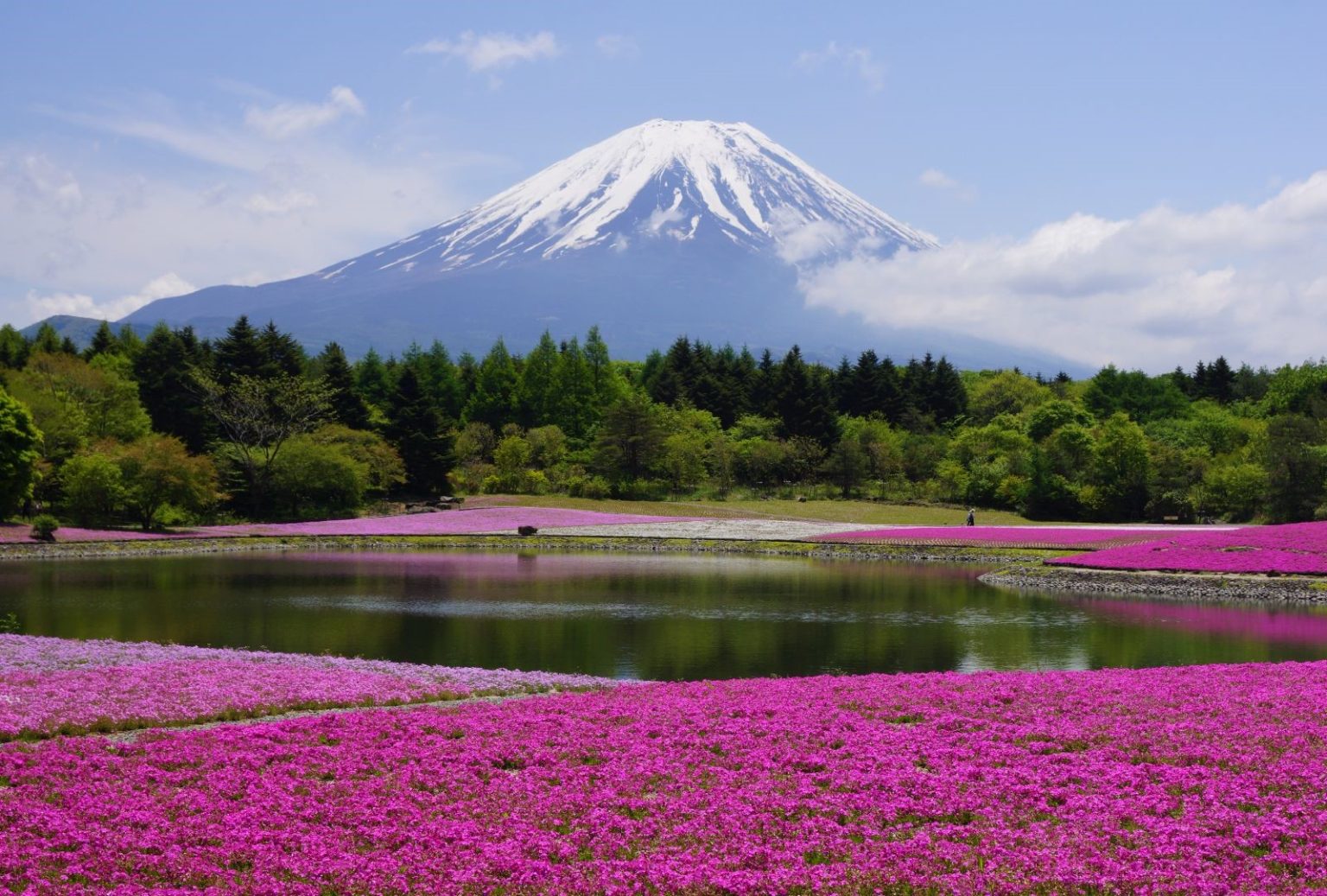 Experience the Magic of Japan During Spring: A Travel Guide | Travel ...