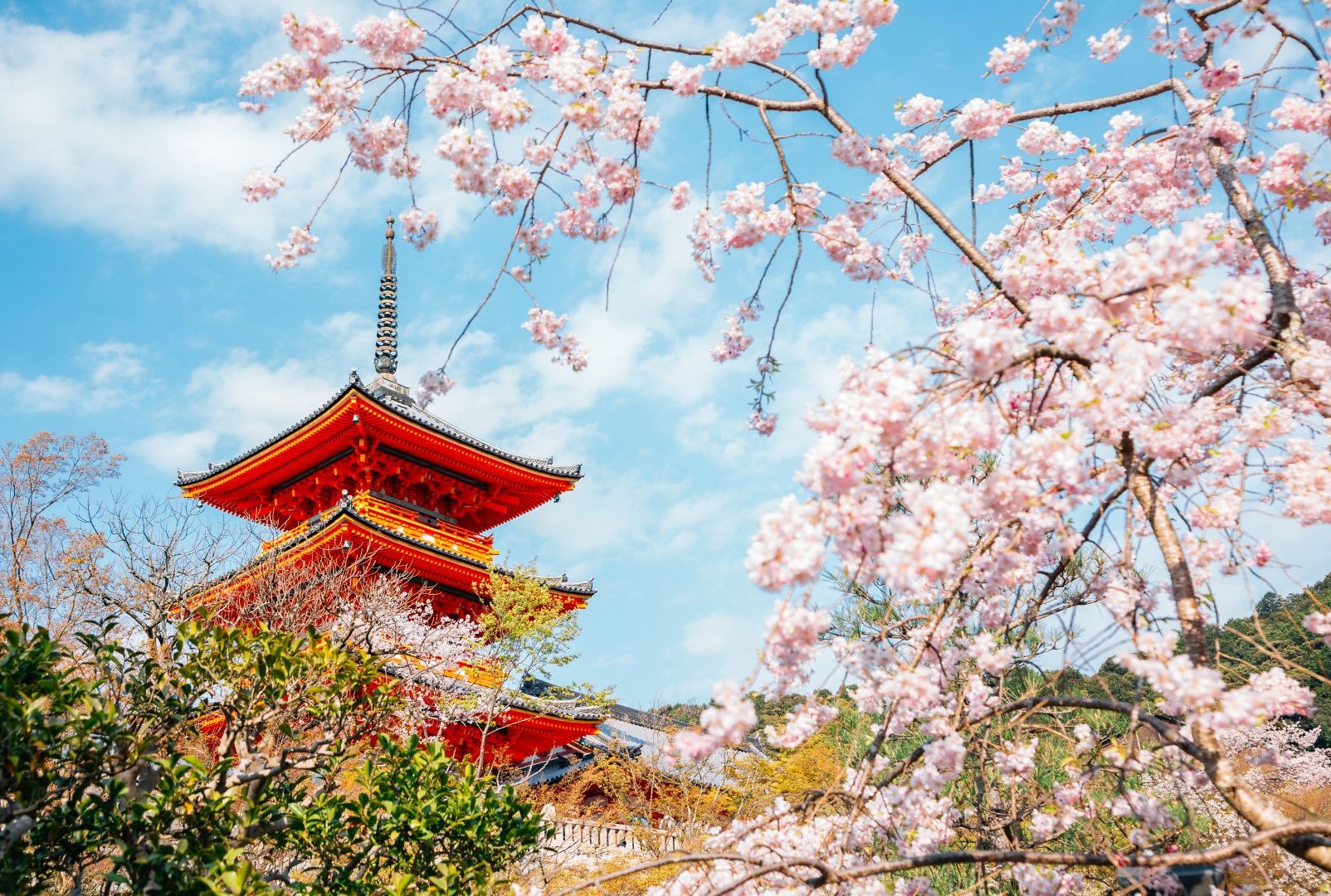 Experience the Magic of Japan During Spring: A Travel Guide | Travel ...