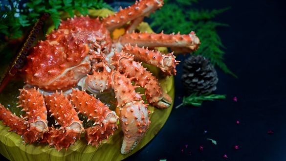 Ultimate Guide to Winter in Japan (2025 Update) | Travel Journal by ...