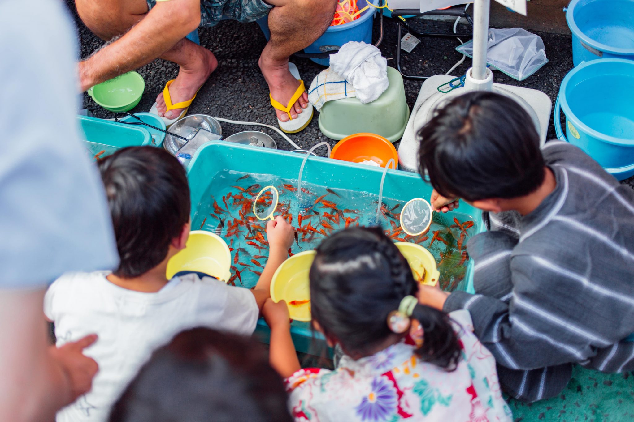 Summer in Japan: Exploring the Land of the Rising Sun | Travel Journal ...