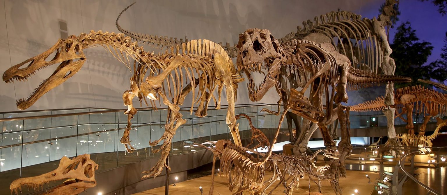 Top 10 Best Museums in Japan: A Cultural Odyssey | Travel Journal by ...