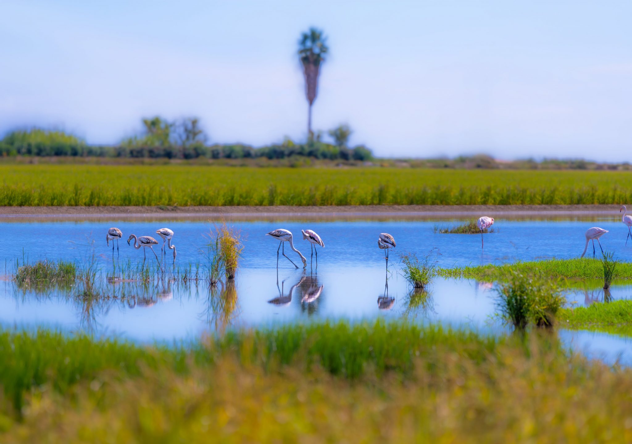 The Ultimate Bucket List: Things to Do In Spain | Travel Journal by ...
