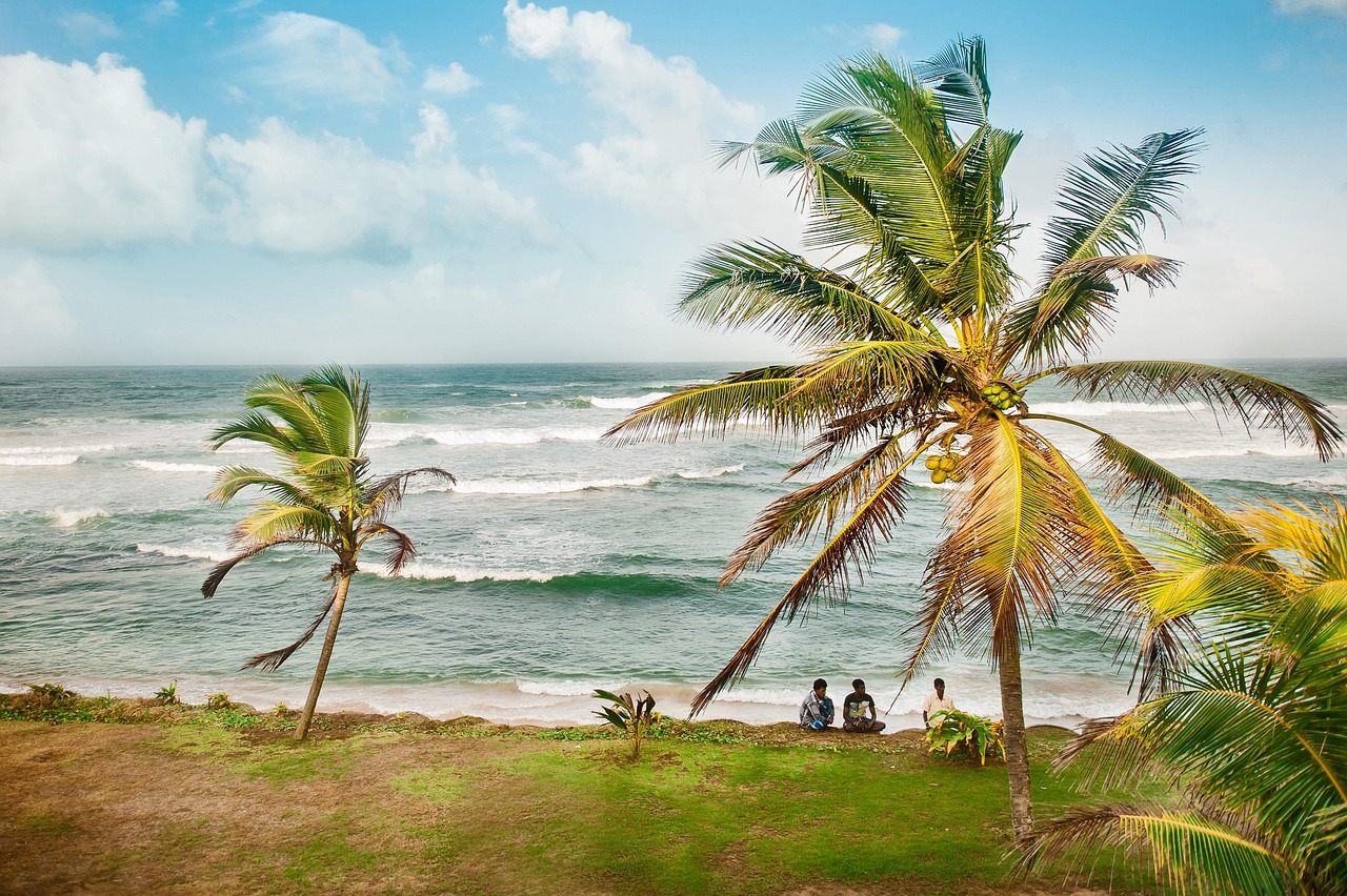 Uncover Sri Lanka’s South: Iconic Beaches, Culture, and Adventure ...