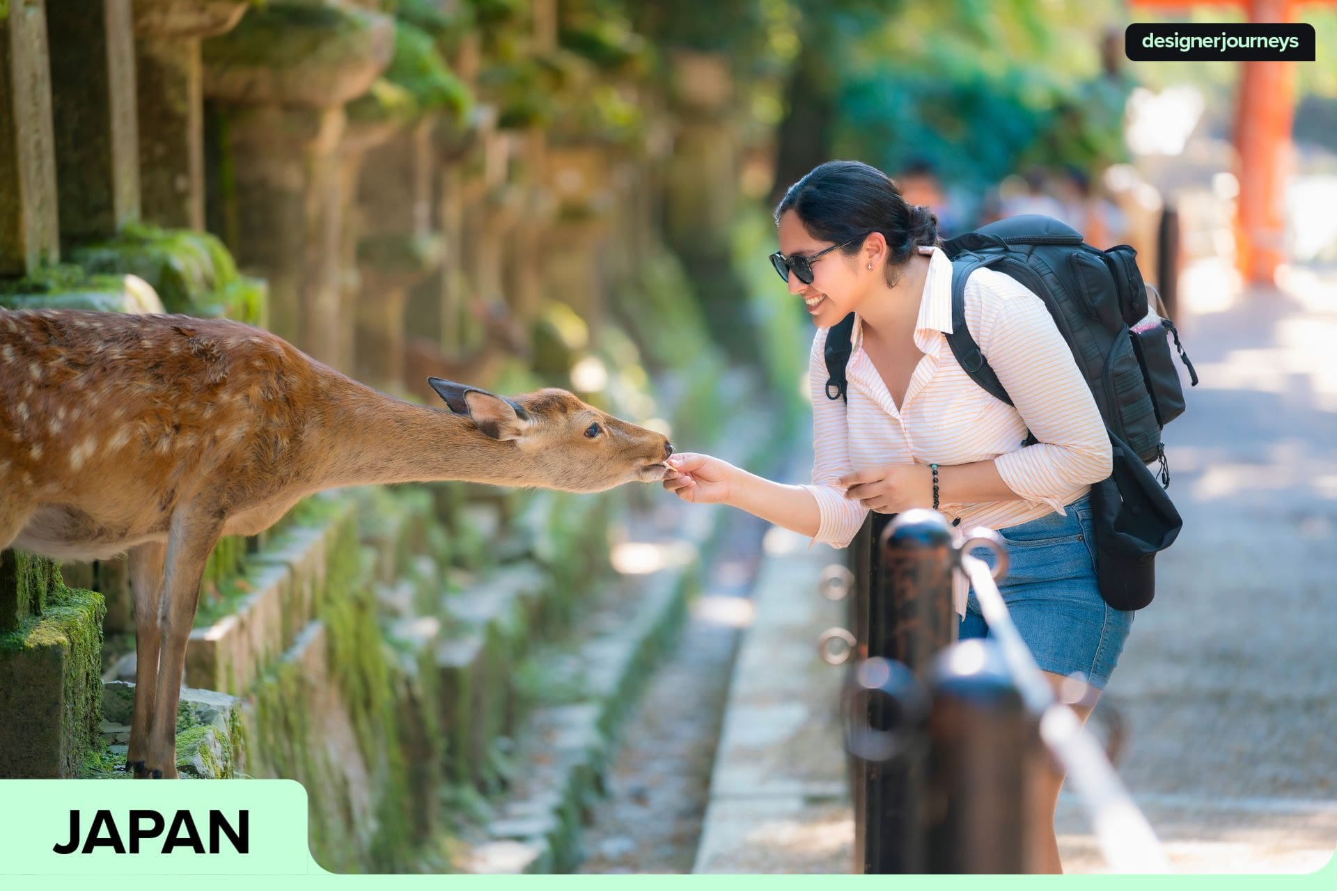 Discover the Best Things to Do in Nara | Travel Journal by Designer ...