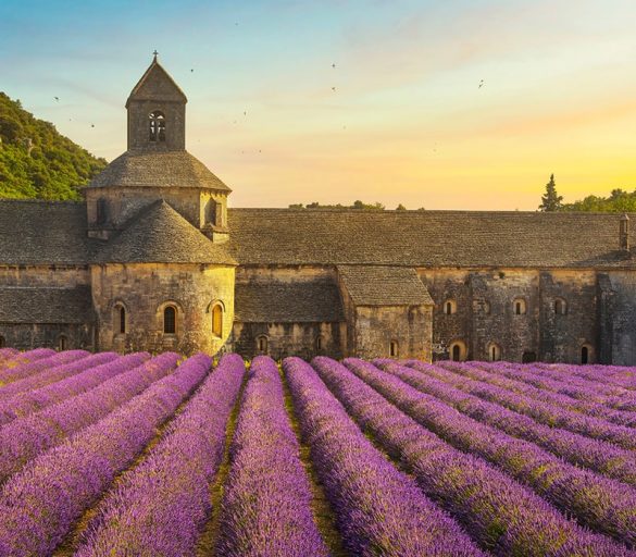 Tourist Attractions in France: Places to Visit in France for Famous ...