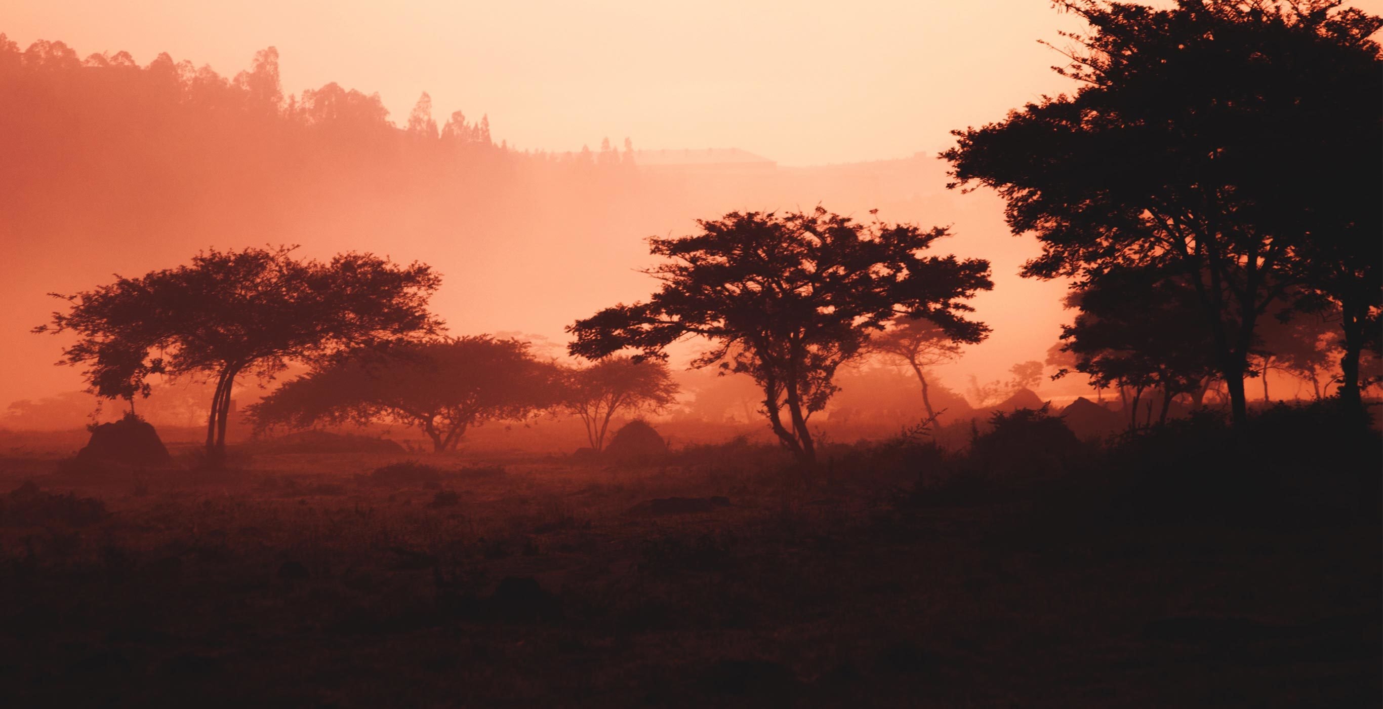 The Best Rwanda Travel Guide | Designer Journeys