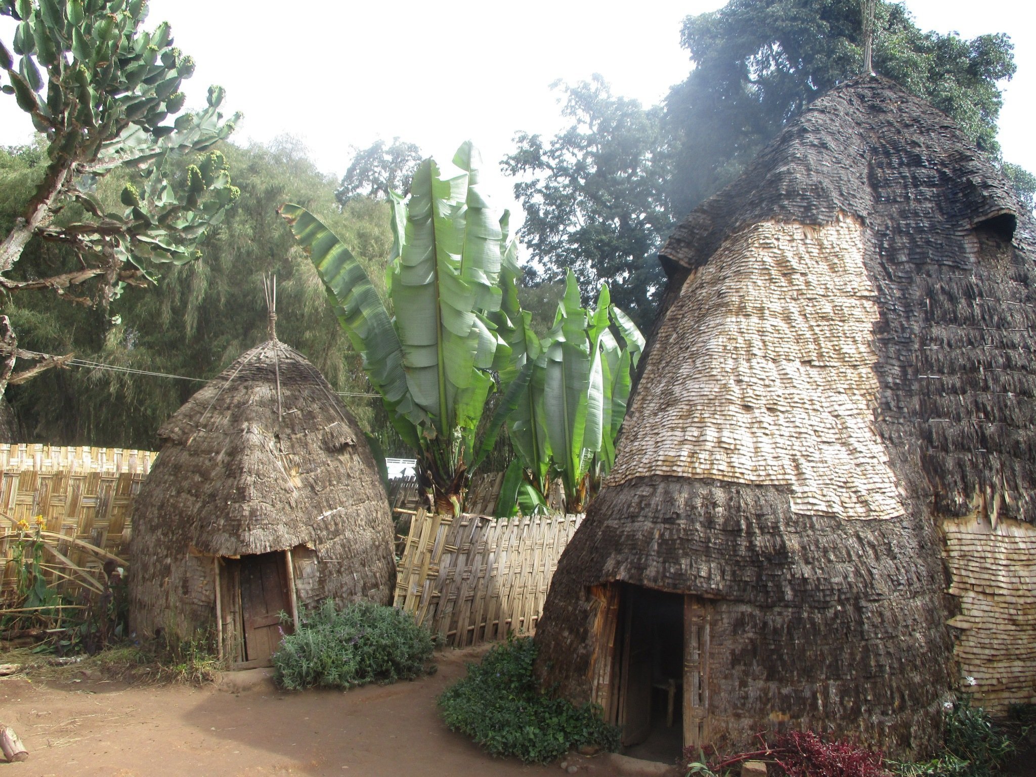 Head to Southern Ethiopia on This Exciting 4-Day Itinerary! | Designer ...