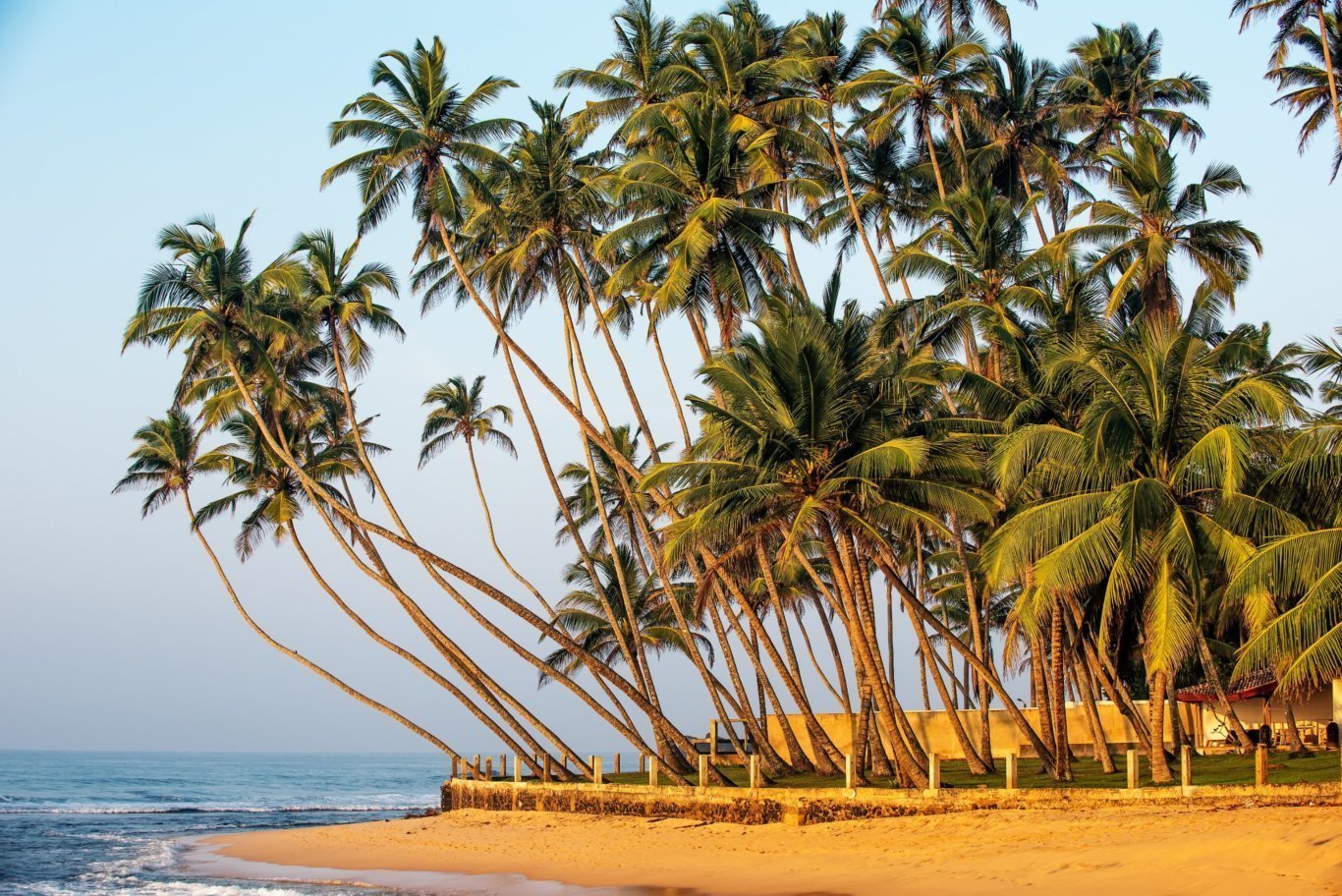 Travel All Over the Island on This 7-Day Tour in Sri Lanka | Designer ...