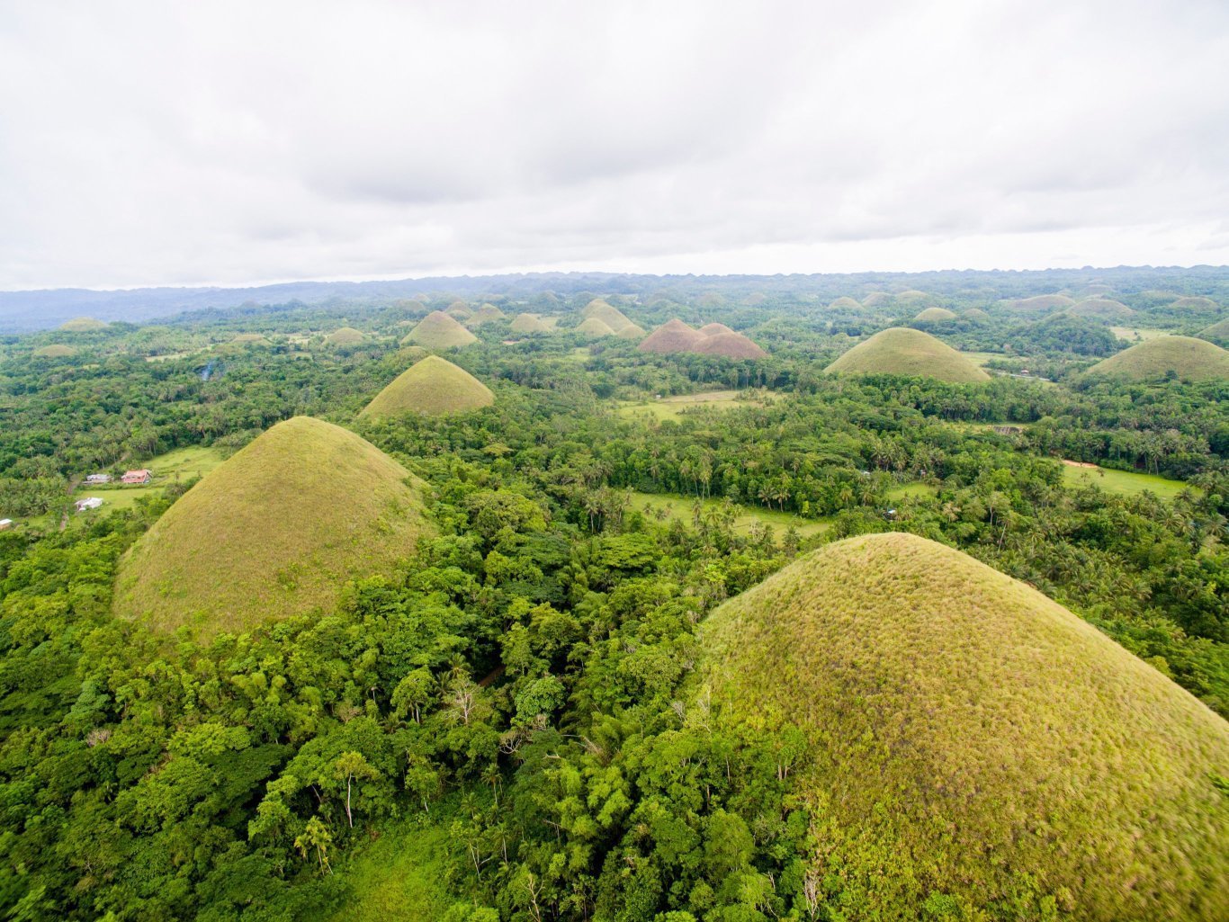 Take a Four Day Bohol Tour and Discover Stunning Landscapes! | Designer ...
