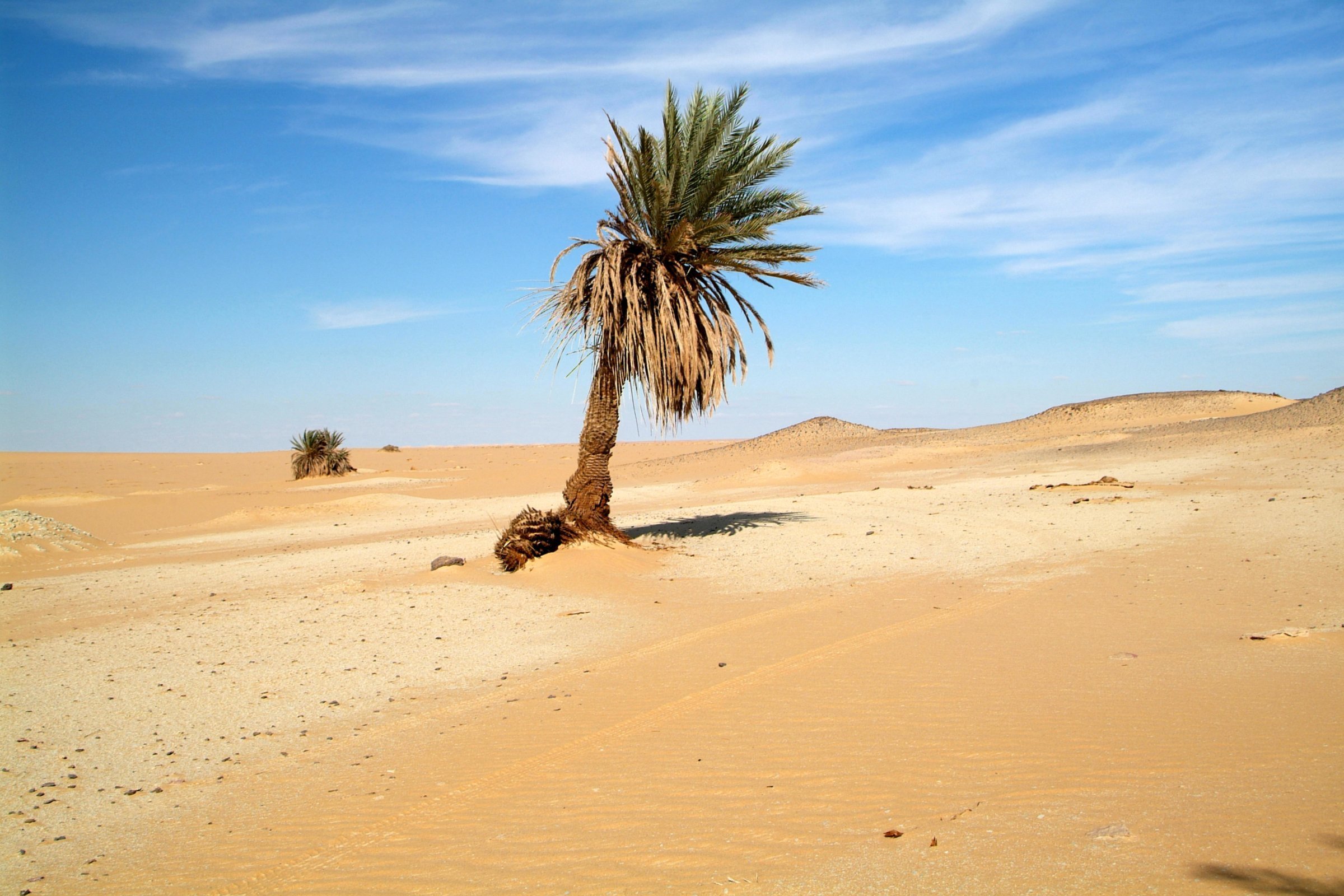 Camp in the Western Desert on a Personalised Egypt Itinerary | Designer ...