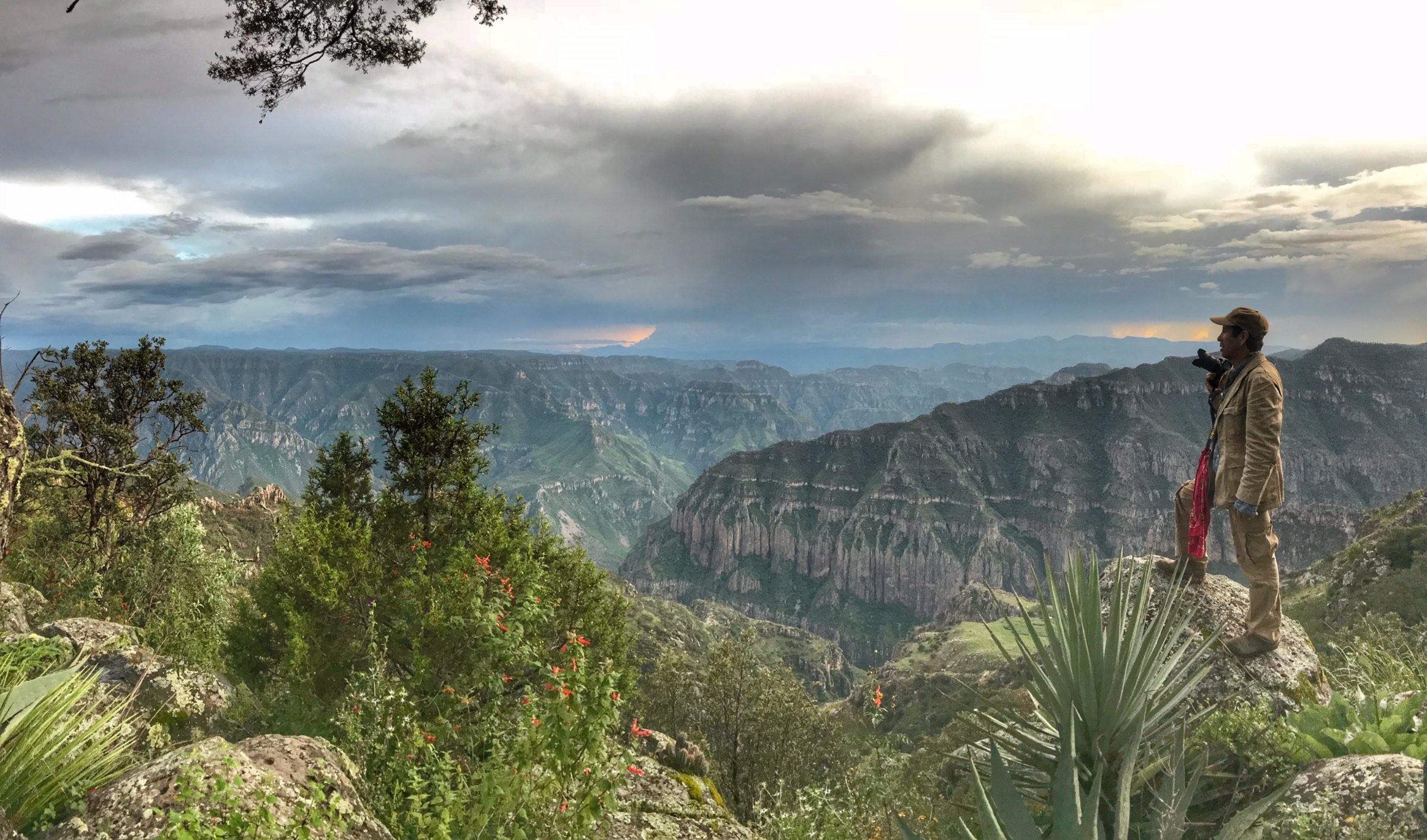 Design Your Action-Packed Adventure in Mexico With a Local | Designer ...