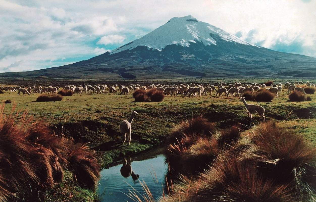 Design Your 10-Day Trip in Ecuador | Designer Journeys