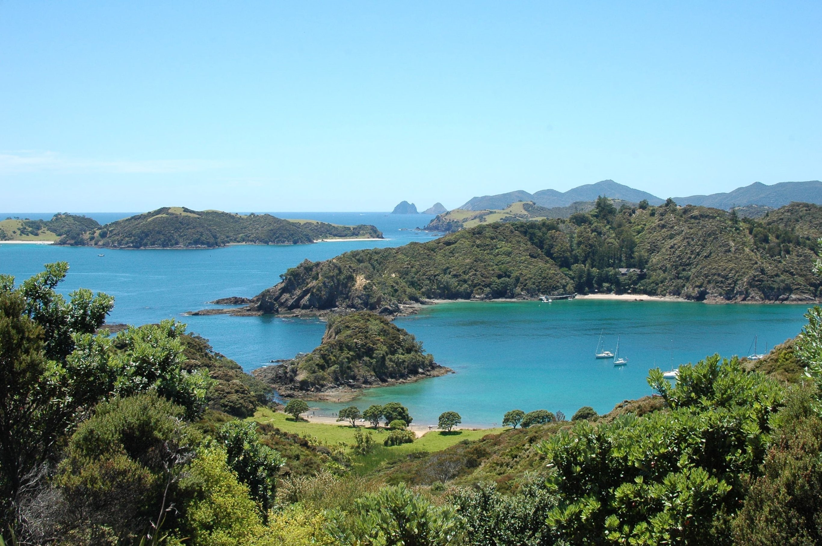 See The Historic Waitangi Treaty Grounds on This 3-Day Tour | Designer ...