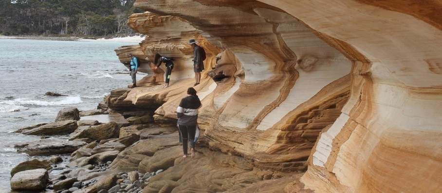 Experience Tranquil Tasmania on This Maria Island Walk Tour | Designer ...