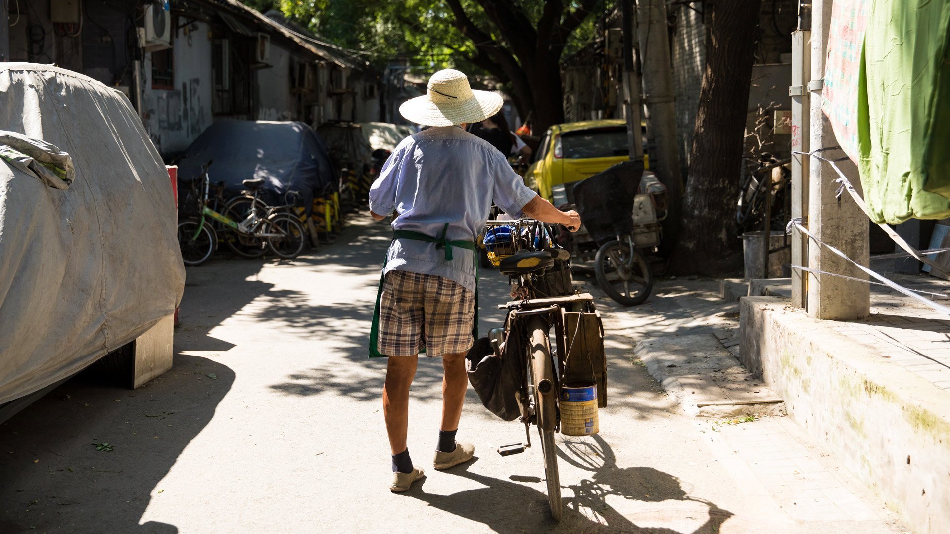 8-Day Best of China: Beijing, Xi’an and Shanghai | Designer Journeys