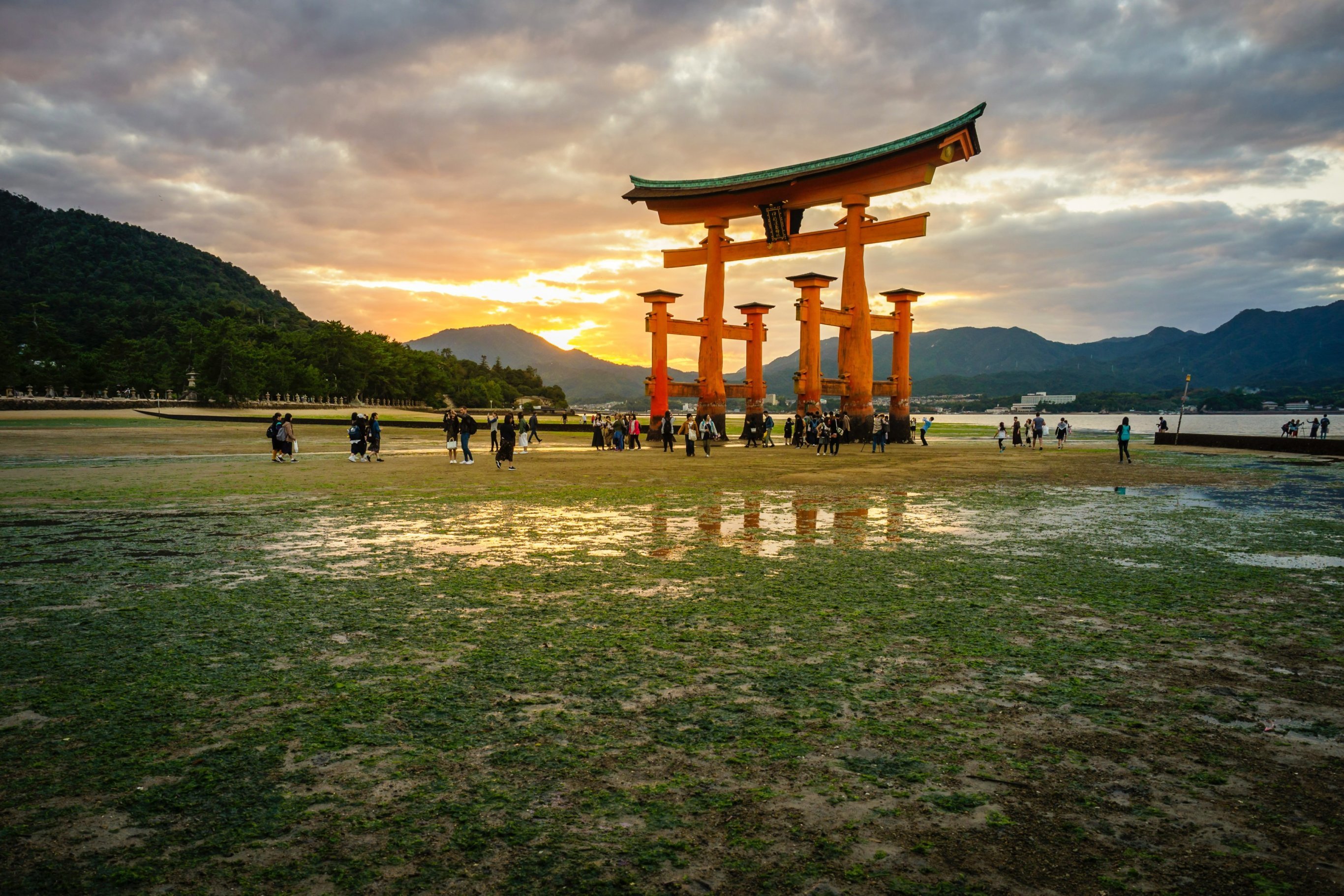 14-Day Ultimate Japan Discovery | Designer Journeys
