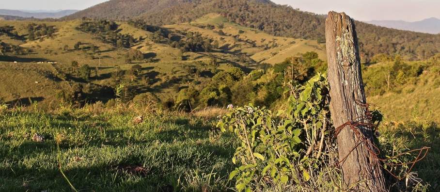 Explore the Incredible Scenic Rim Region on This Custom Tour | Designer ...