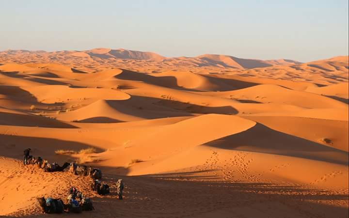 Desert Landscapes and Oasis Await on Your Luxury Desert Tour