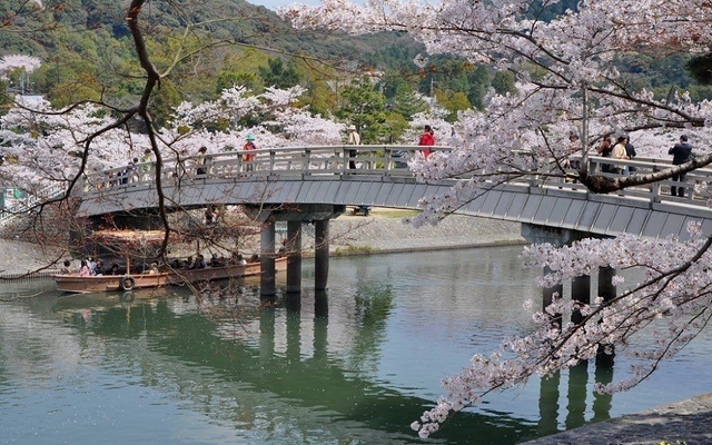 10-Day Nature and Unique Culture of Japan | Designer Journeys