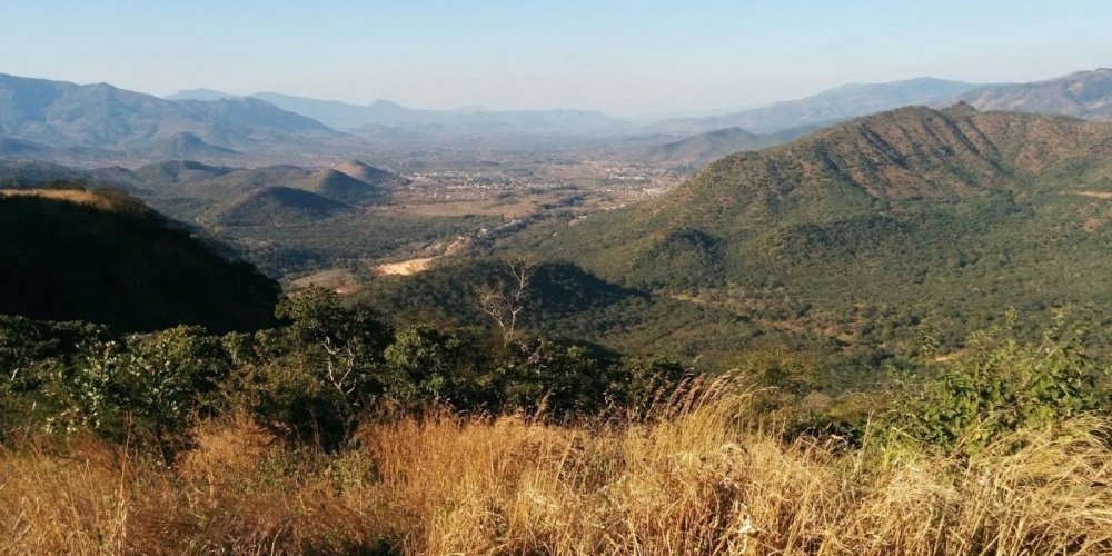 Embark on the Best Safaris in Zimbabwe on This 2-Week Tour