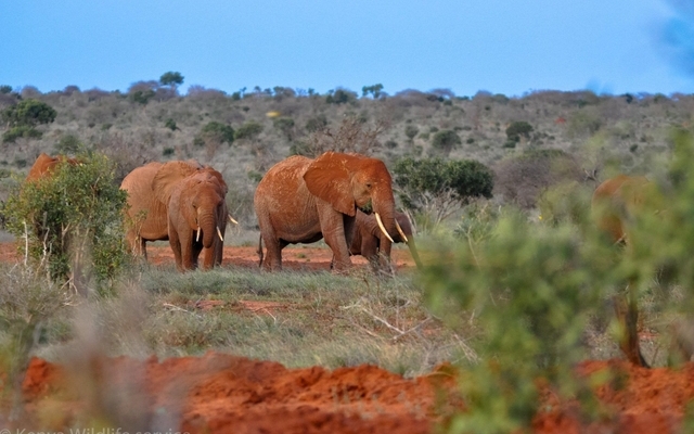 Customise This Kenya Tour Itinerary With a Local Designer! | Designer ...