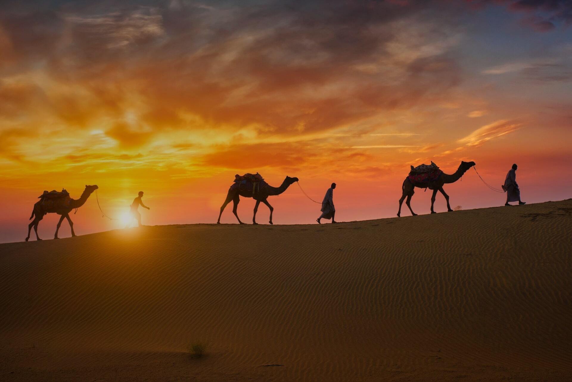 Private Group Tours: Tailor Made Journeys for You and Your Clients ...